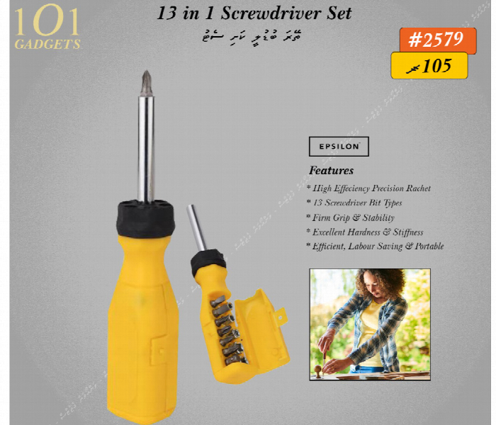 Buy Epsilon 13 In 1 Screwdriver S7157882 Price in Qatar, Doha